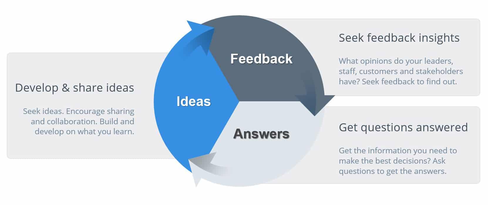Survey easily with Spark Chart - the ultimate survey & feedback tool