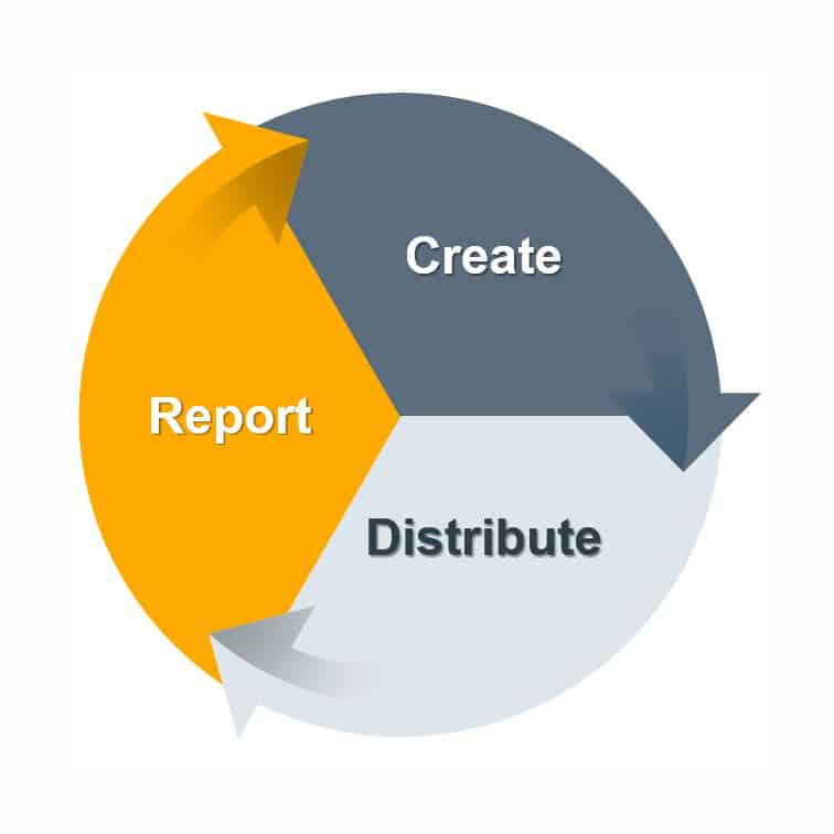 Successful Survey Project Steps | Spark Chart Survey Software